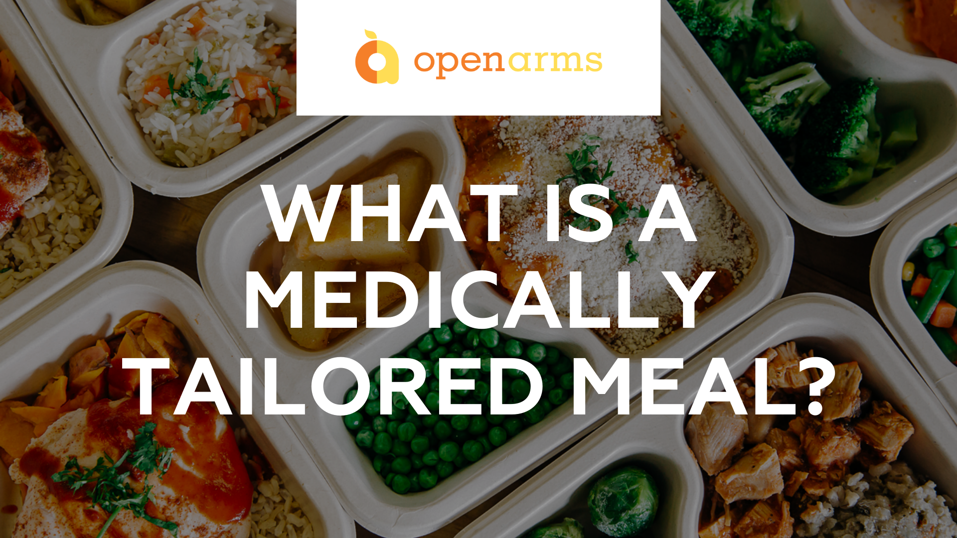 Part I: What Is A Medically Tailored Meal? - Open Arms of Minnesota